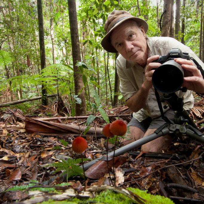 Steve Graham – ZoneOne Arts