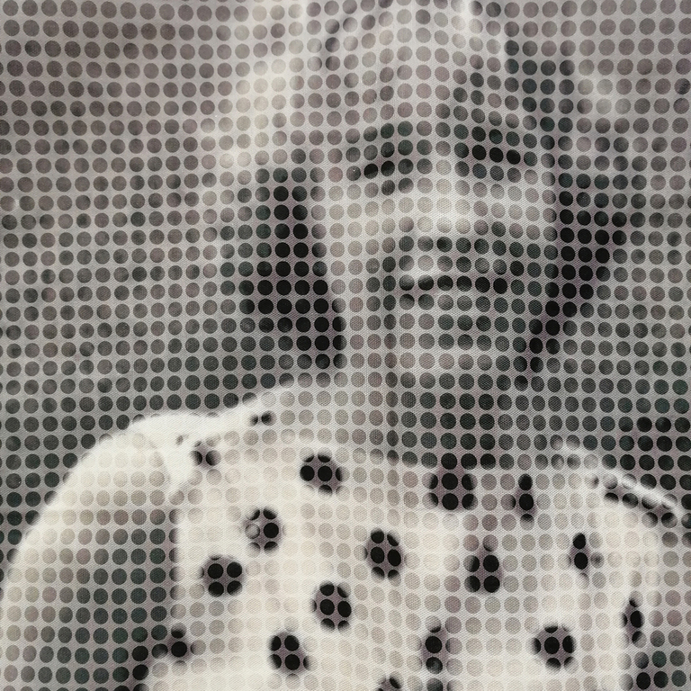 Nigel Cheney – ZoneOne Arts