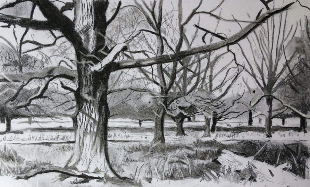 Sally Ward – ZoneOne Arts