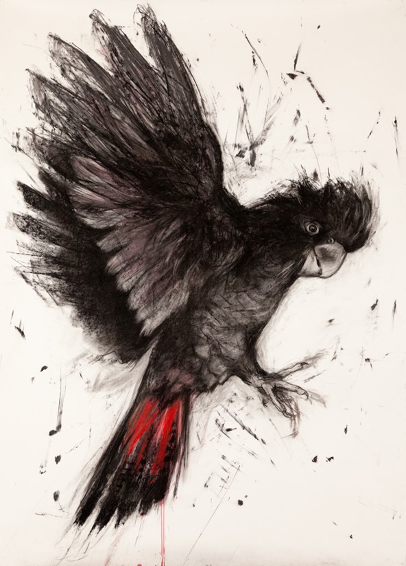 Jody Graham – ZoneOne Arts