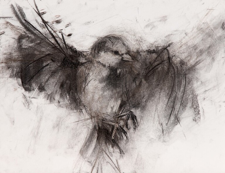 Jody Graham – ZoneOne Arts